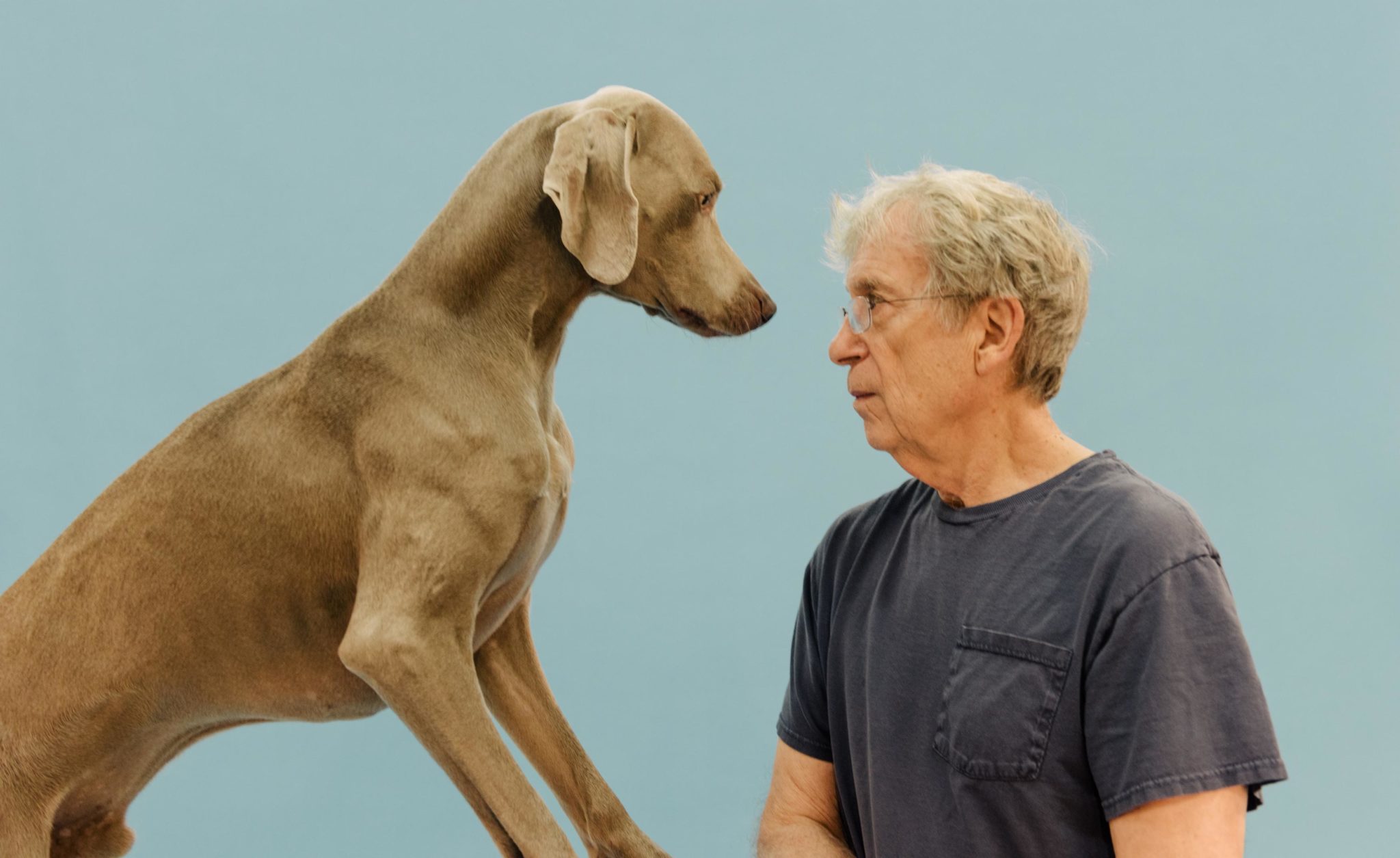 William Wegman Biography & Art Works - Huxley-Parlour Gallery