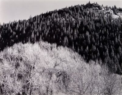 Edward Weston- Photographer's Biography & Art Works - Huxley-Parlour ...