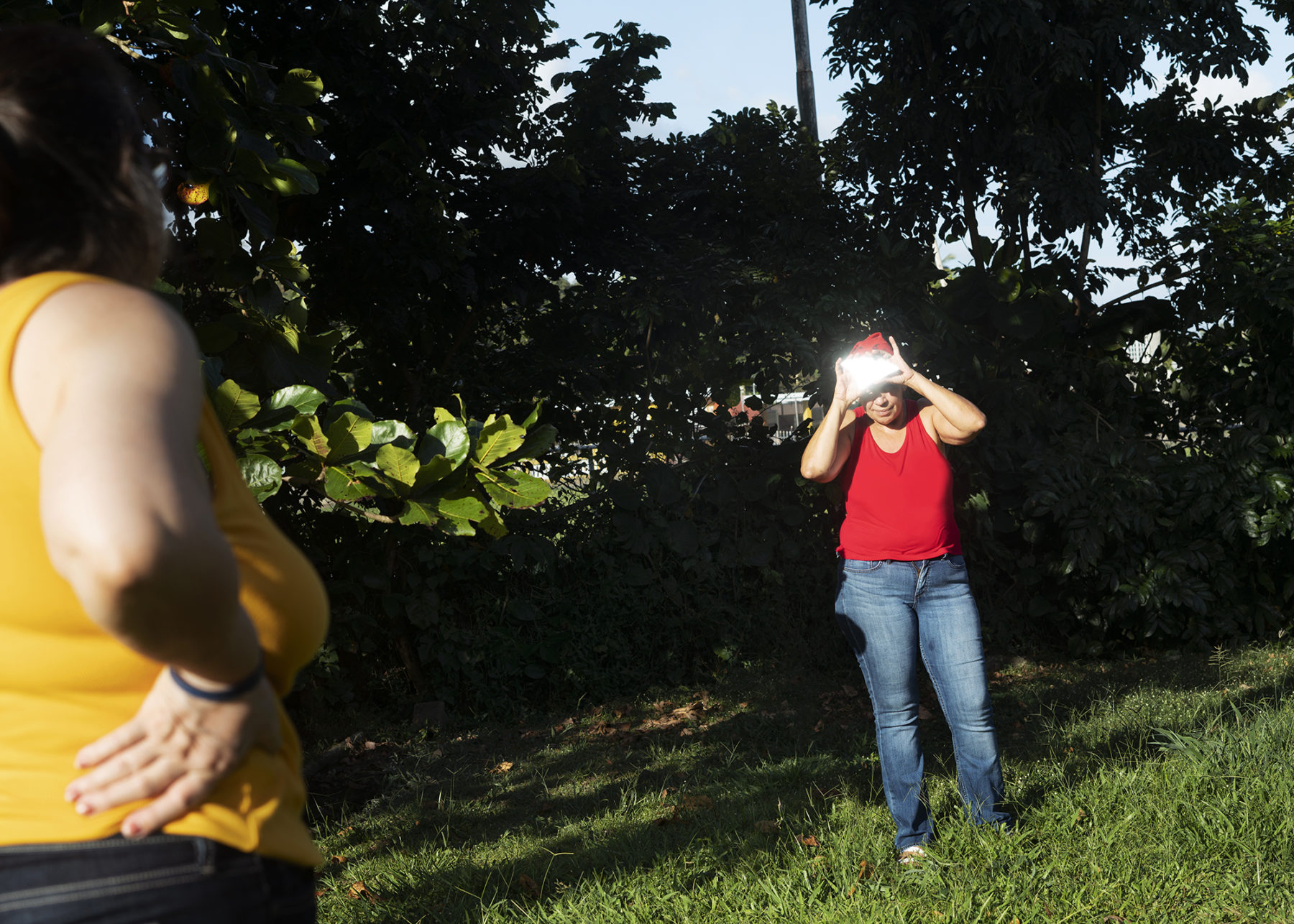 Signal - Huxley-Parlour Gallery