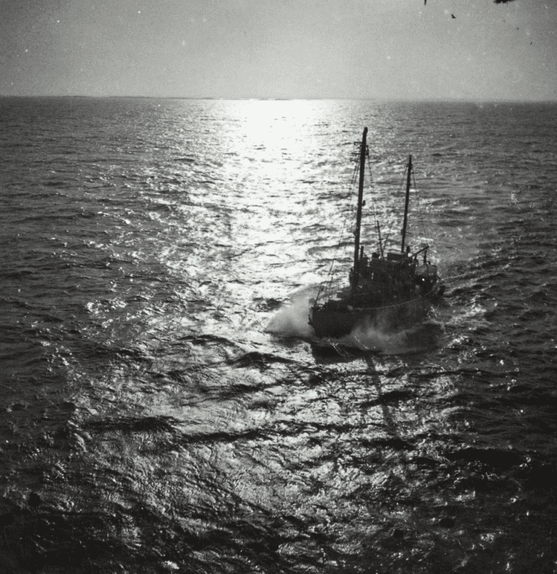 Dora Maar - Huxley-Parlour Gallery