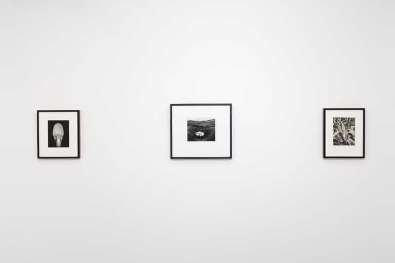 Modern Objects - Huxley-Parlour Gallery