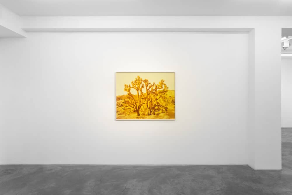 Mother - Huxley-Parlour Gallery