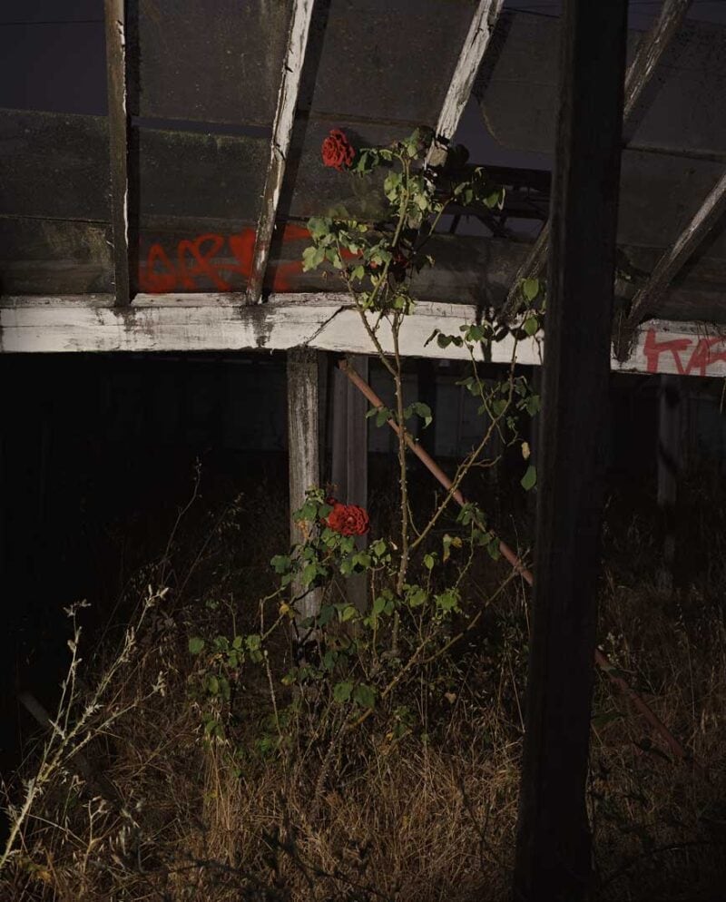 Gregory Halpern - Huxley-Parlour Gallery