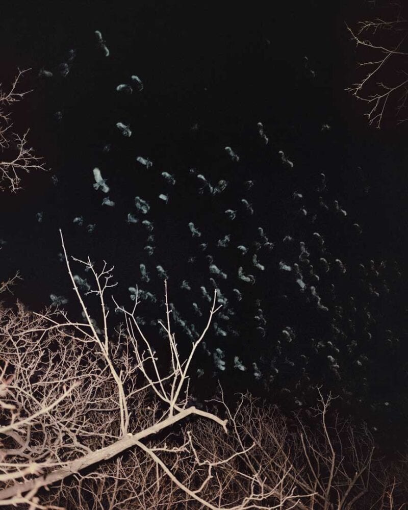 Gregory Halpern - Huxley-Parlour Gallery