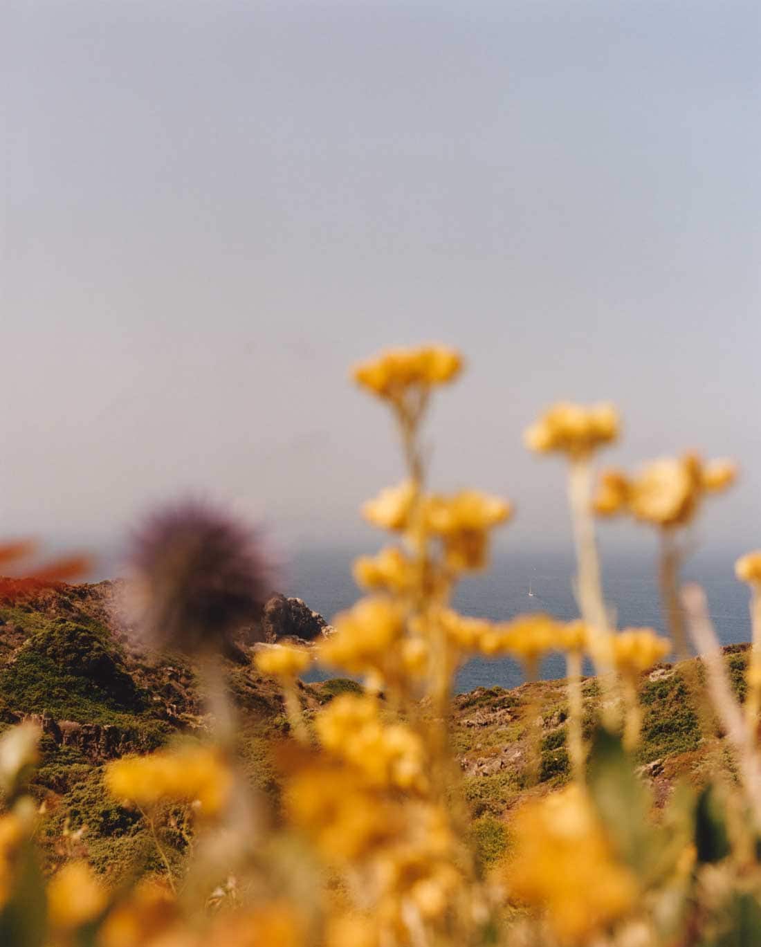 Jamie Hawkesworth - Huxley-Parlour Gallery